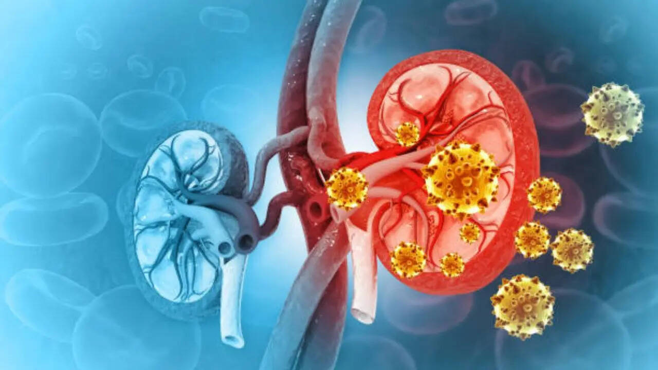 A simple rupees 300 test can catch chronic kidney disease early - here ...