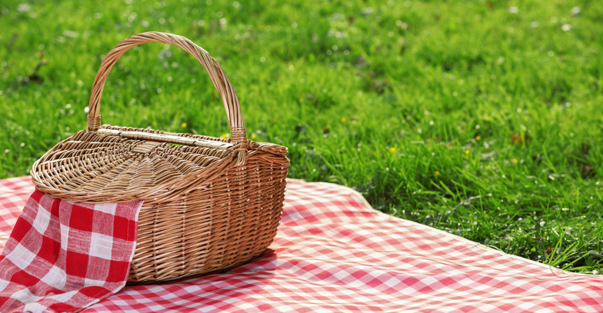 What goes into the ultimate picnic basket?
