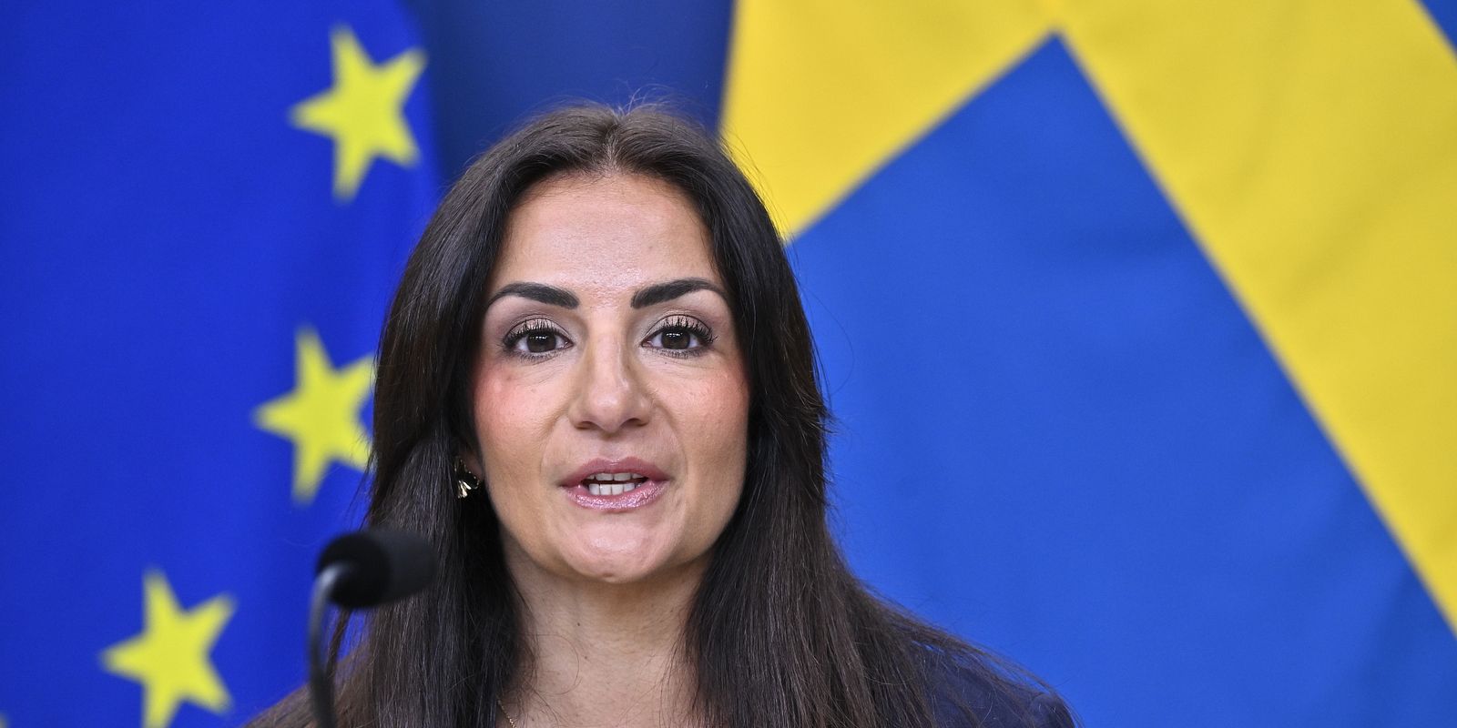 Regeringen lägger fram femårsplan för läsandet