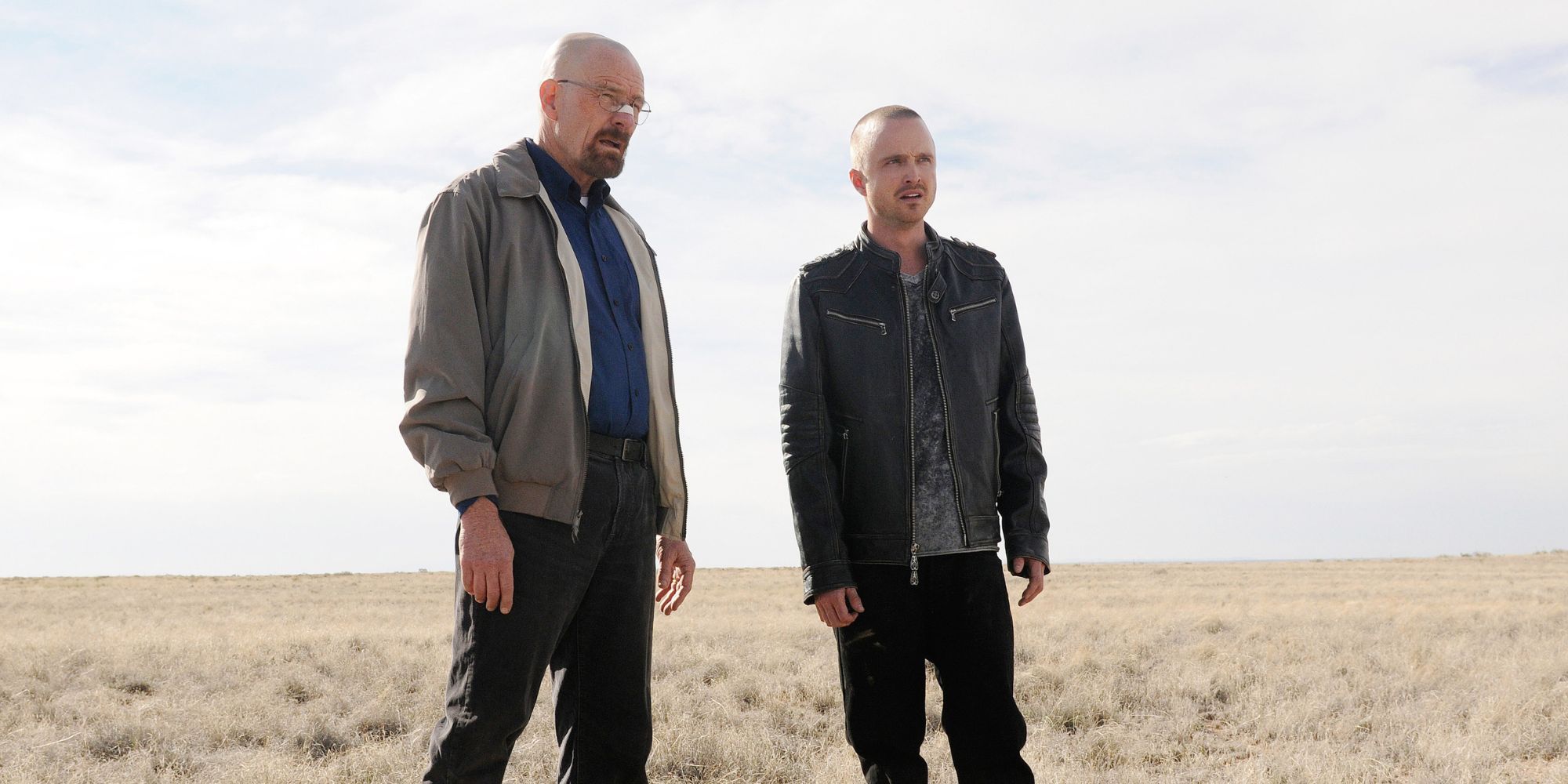 DC Universe's new film about iconic Batman villain casts Breaking Bad star