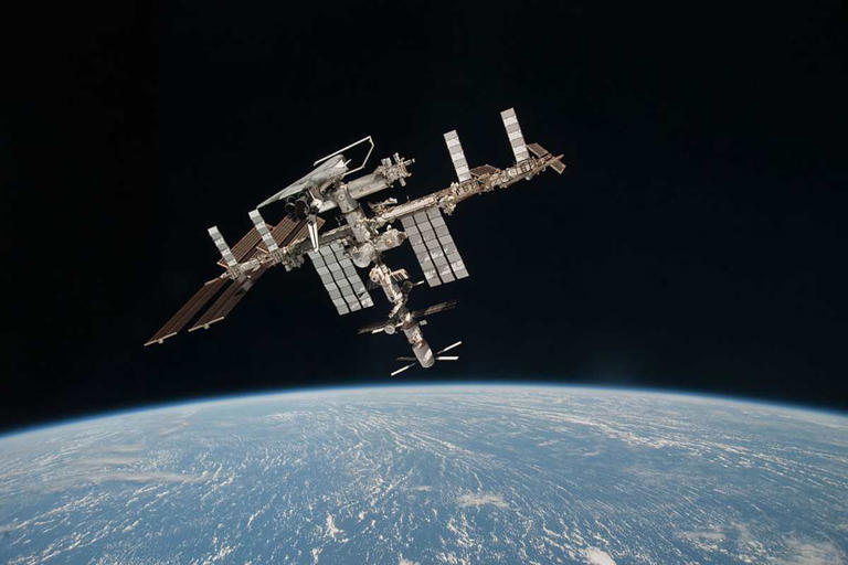ISS Expedition 74 advances stem cell research and DNA nanotherapy to ...
