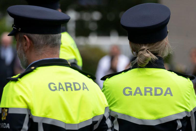 Frontline gardai could lose more than 70 days off due to Ireland's EU ...