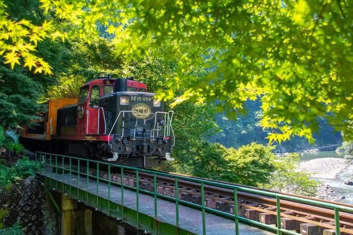 This 25-minute train ride in Japan is officially the most beautiful in ...