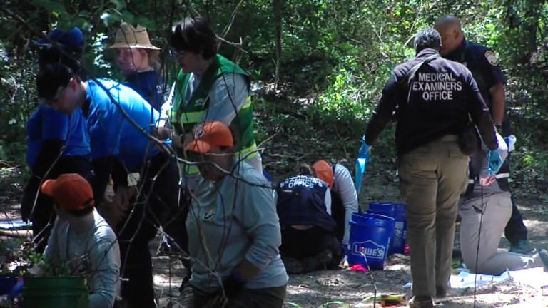 Dog walker discovers human remains belonging to three children between ...