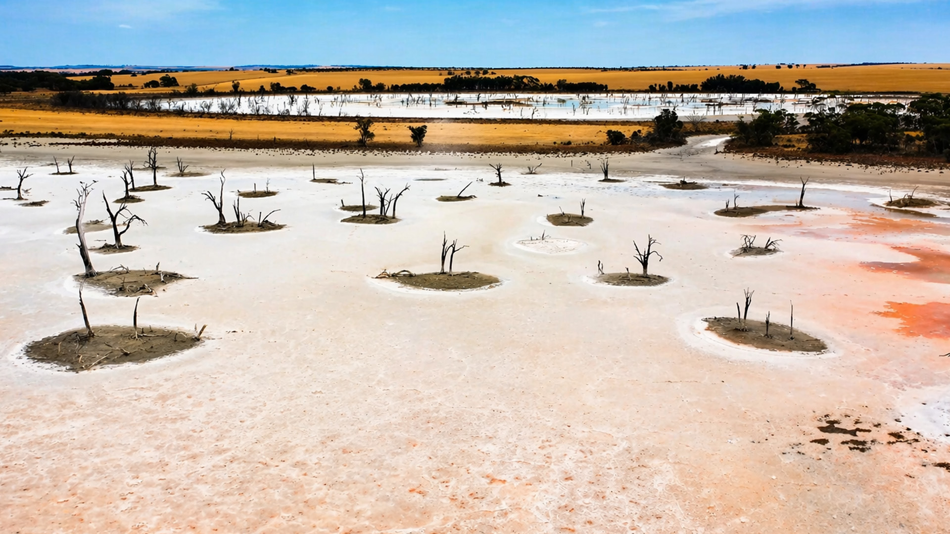 Is this what environmental collapse looks like?