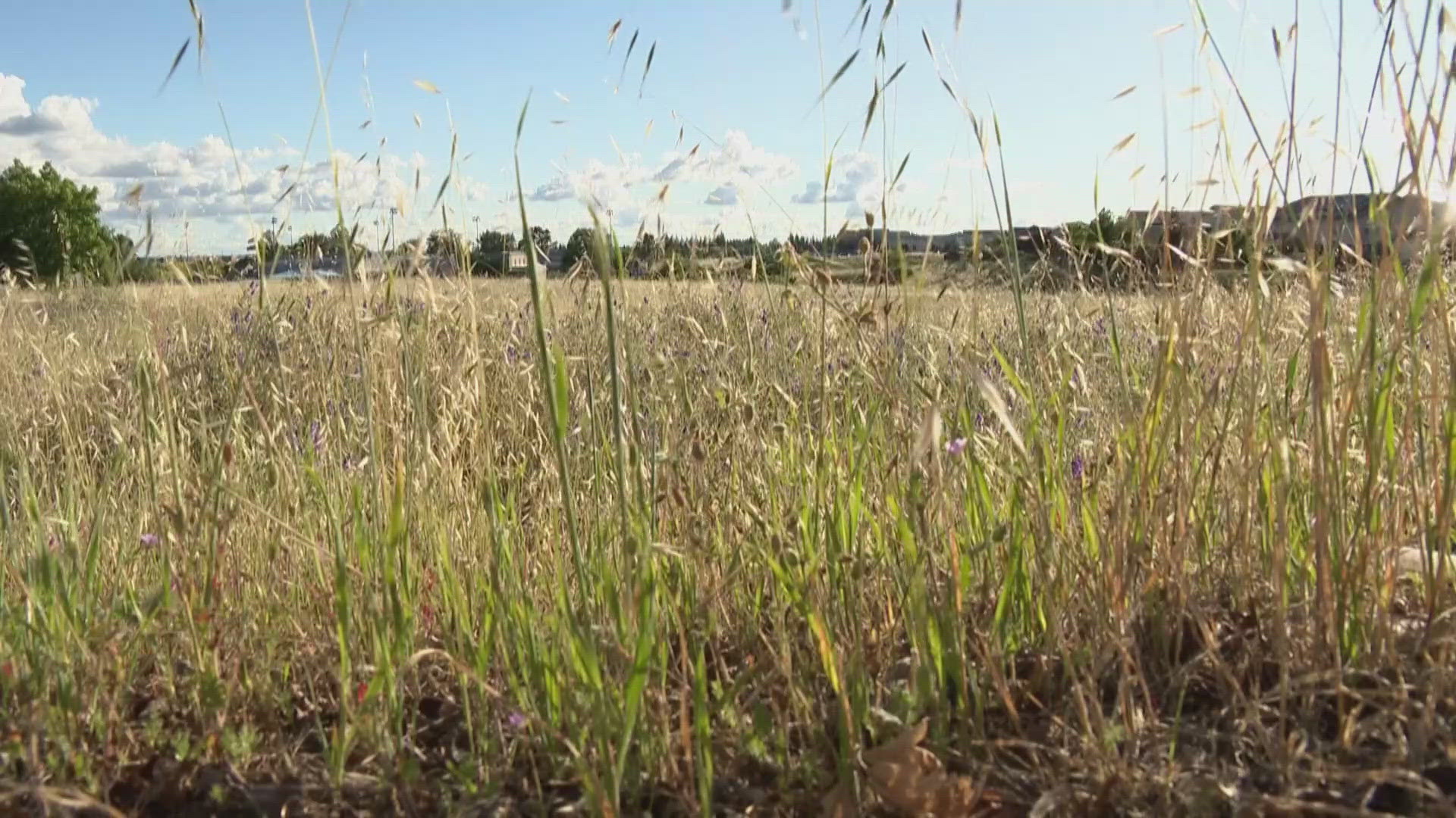 Parents concerned about new Rocklin affordable housing project