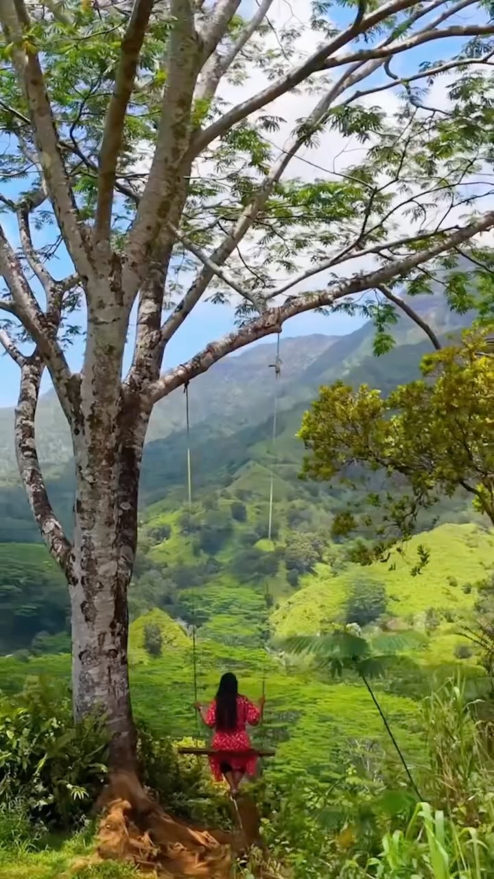 Most beautiful states ranked after exploring 37 states