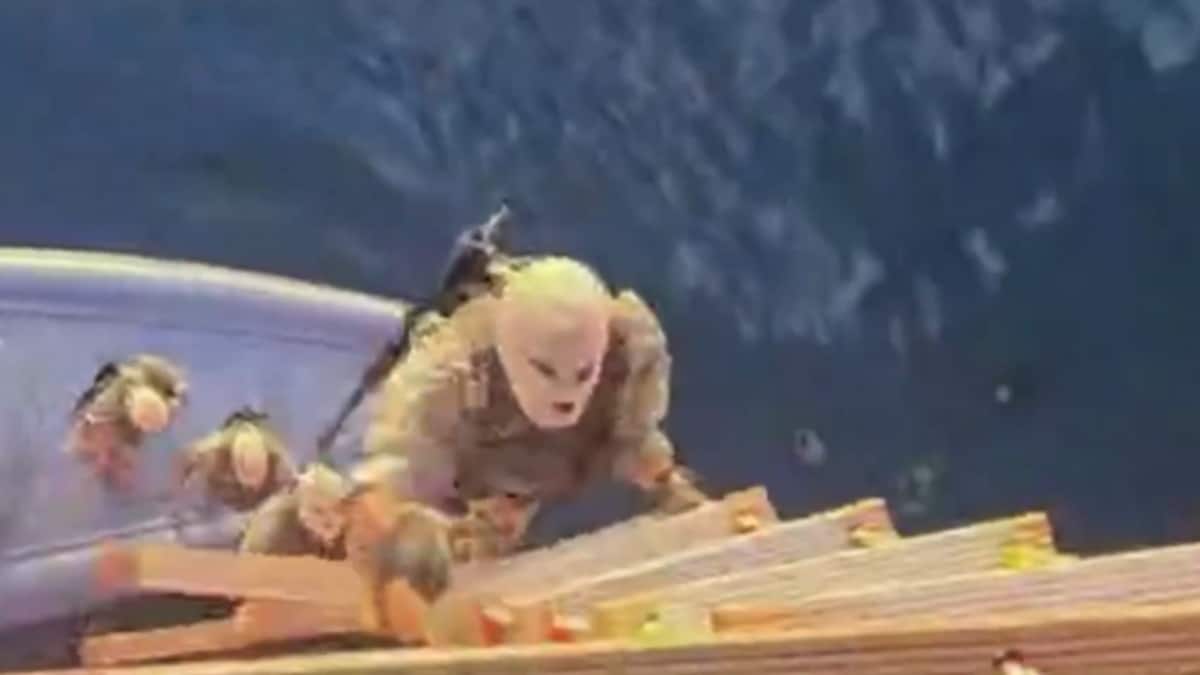 Iran releases footage of masked IRGC navy men seizing cargo ships in ...