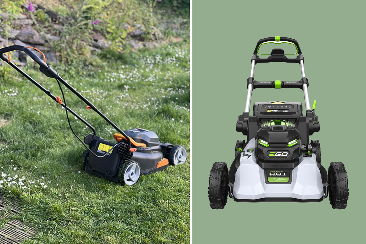 Best lawnmowers for 2026, tried and tested by an outdoors expert