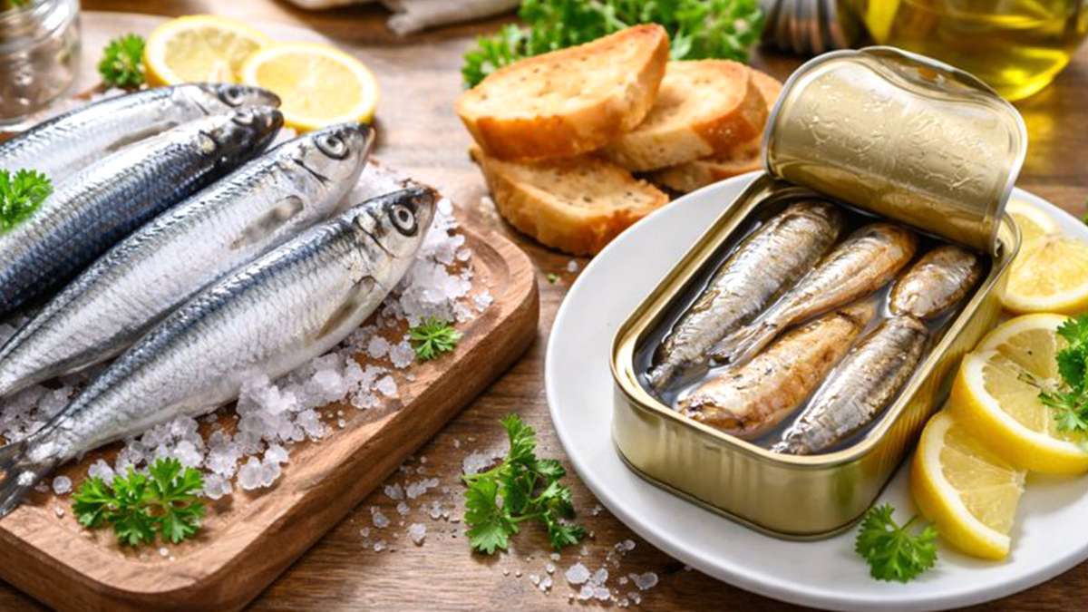 Färska och konserverade sardiner: allt du behöver veta innan du ...