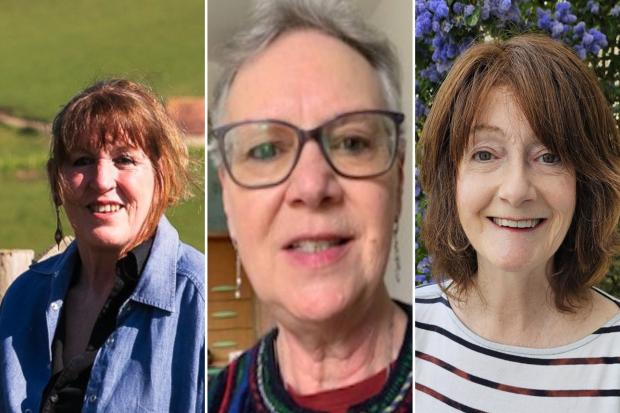 Meet the candidates vying for Freshwater South