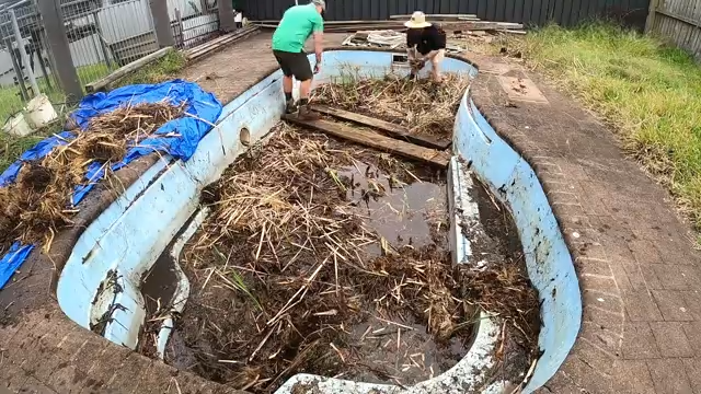 Neglected yard restored through voluntary cleanup and community support
