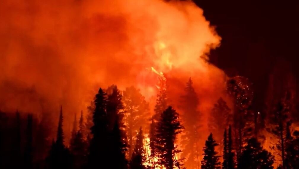 Live updates: Tracking Florida, Georgia wildfires, state of emergency ...