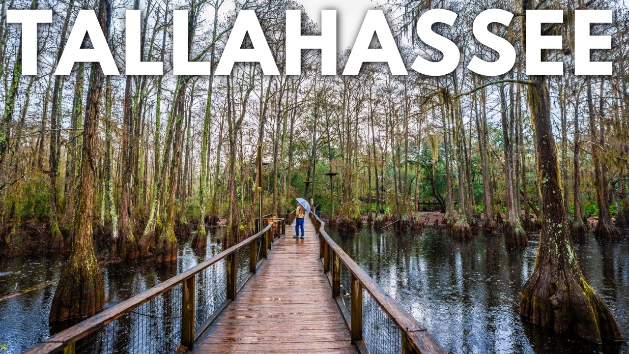 24 hours in Tallahassee, Florida - what to do, see & eat
