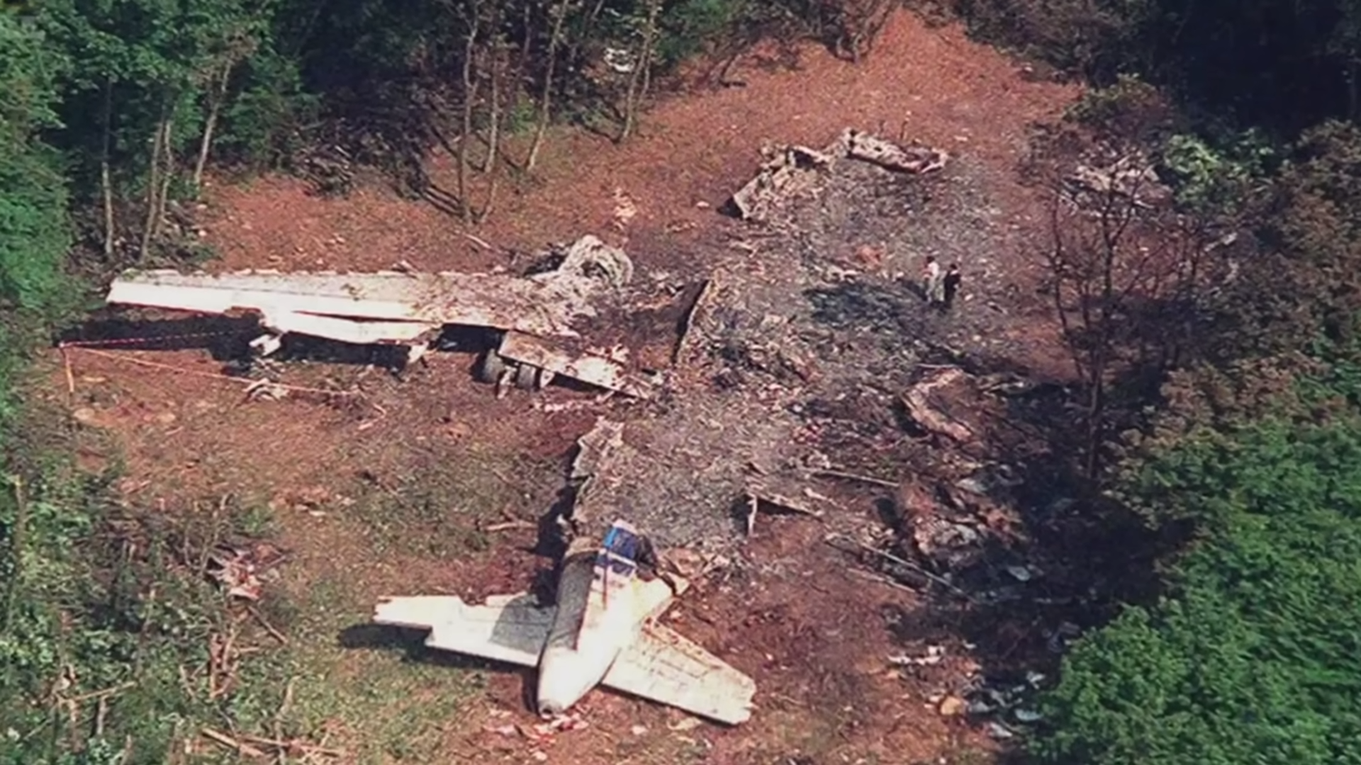 Brand-new Airbus wows the crowd - seconds later, it hit the trees and ...