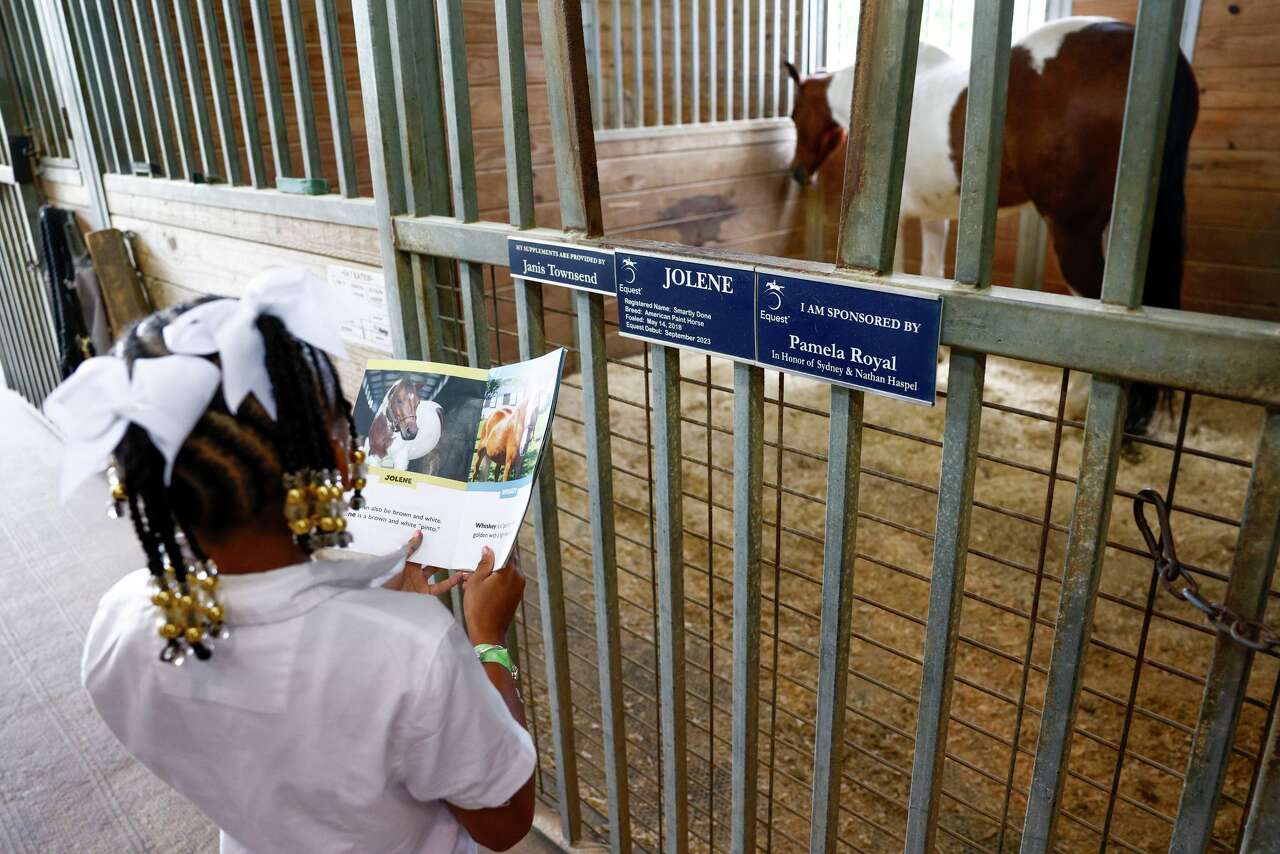 Meet Kali, Ranger and Jolene. These horses are helping Dallas first ...