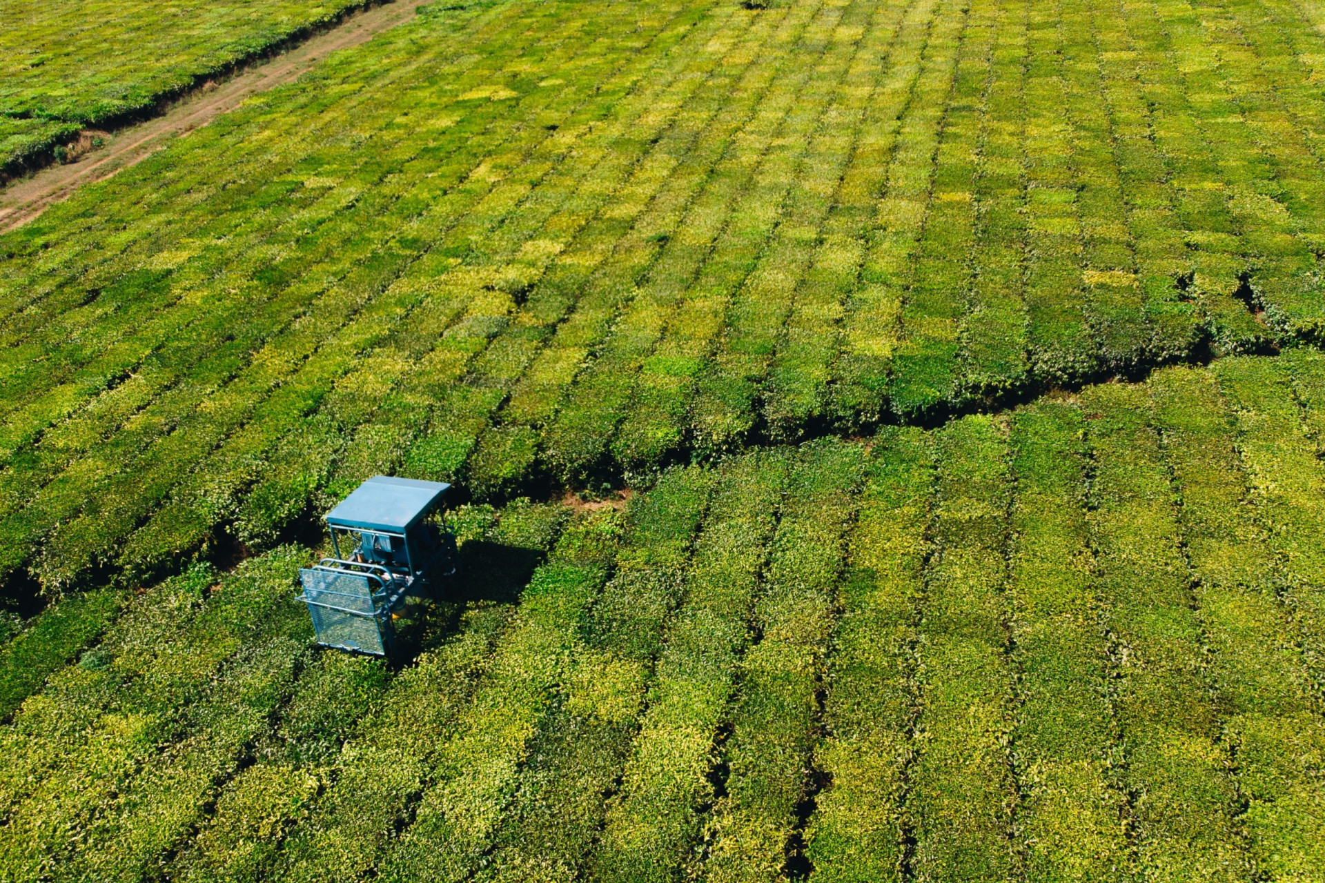 Countries with the least food self-sufficiency