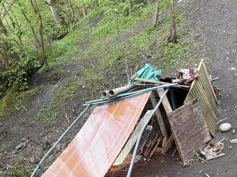 Nanny diaries: The childhood joys of creating a den