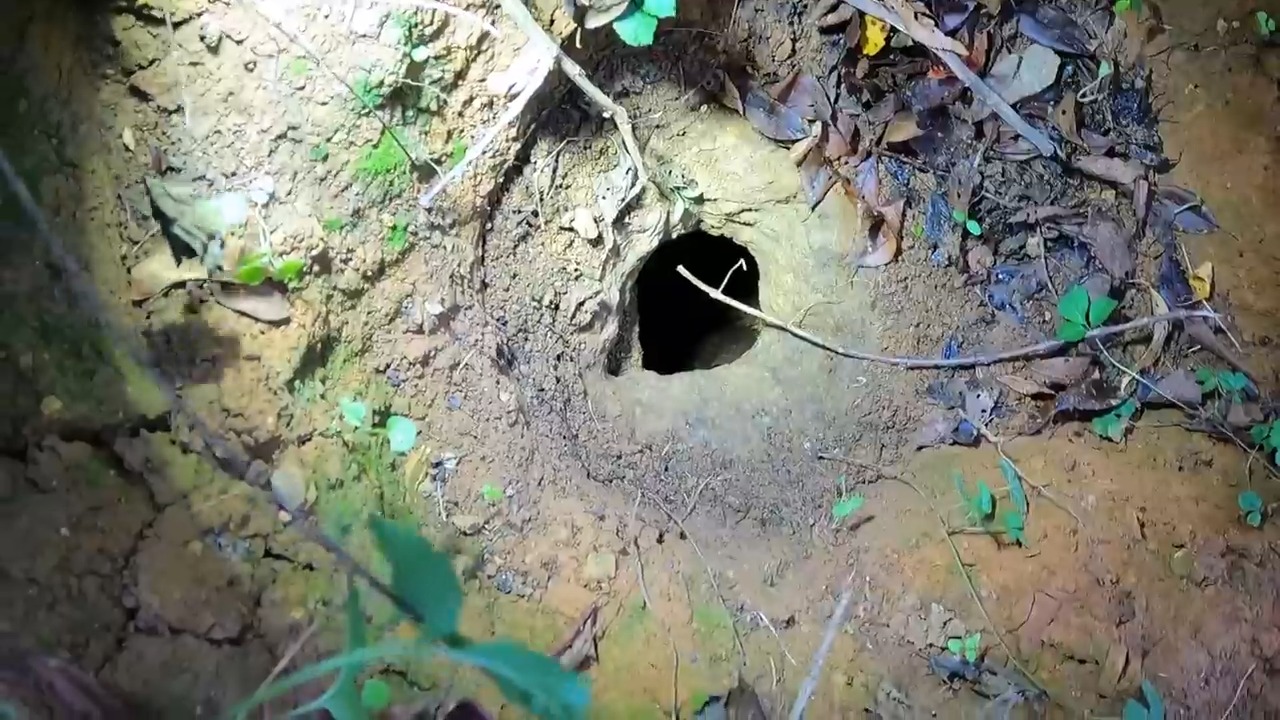 There's a weird hole in the ground - digging at an old Sharpsburg house ...