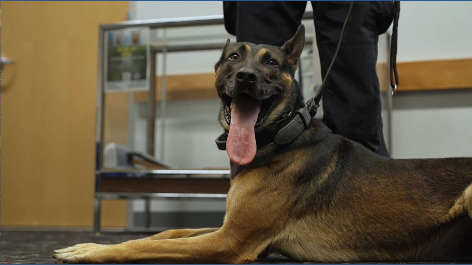 Dallas police K9 retirement