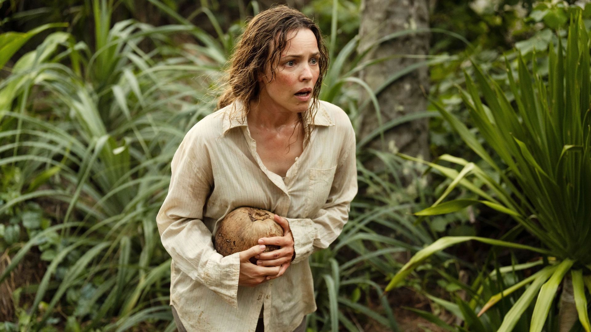 Rachel McAdams' R-rated horror Send Help sets streaming Hulu & Disney+ ...