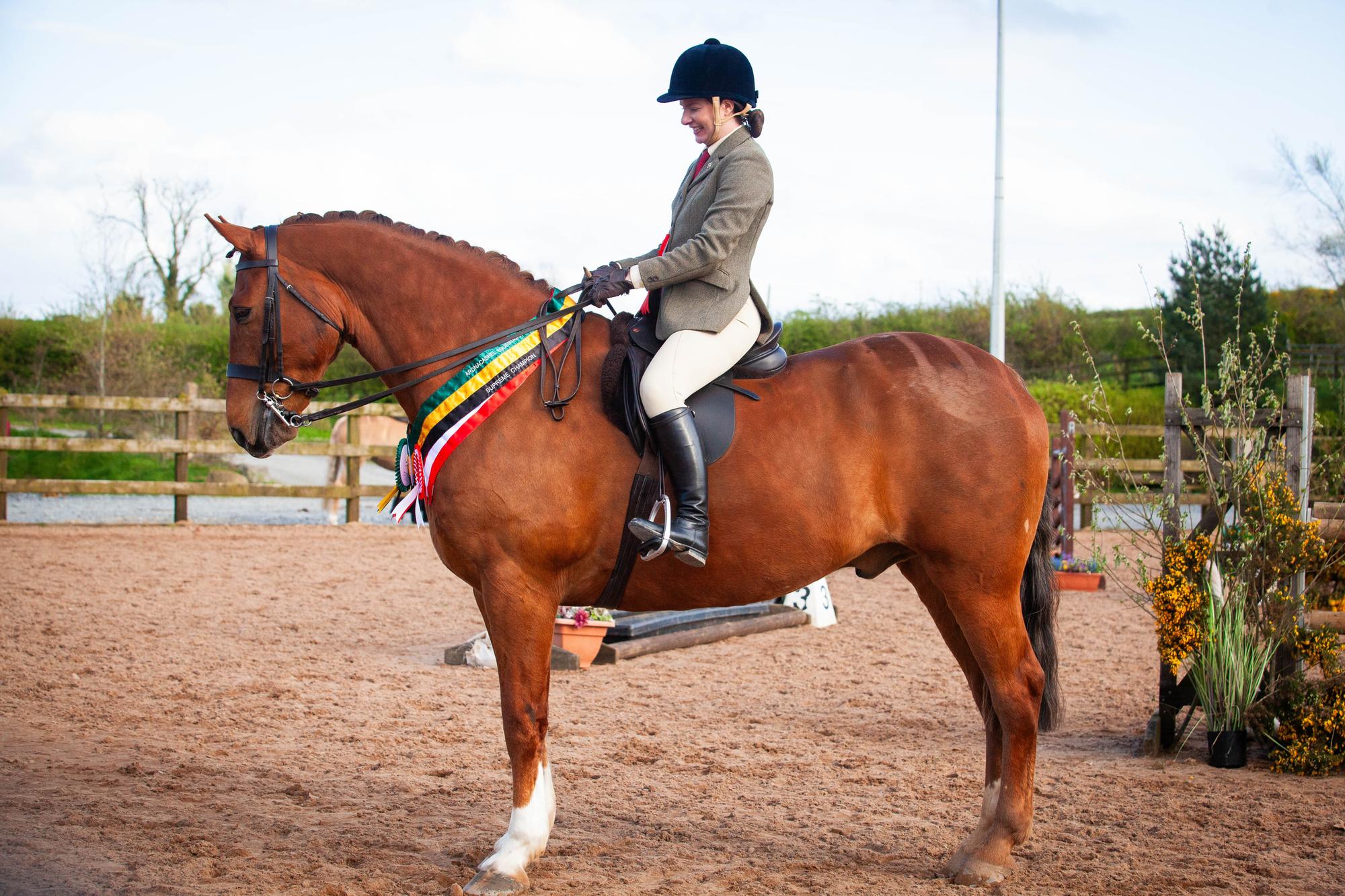 Horse Week: Pre Balmoral Show at Ardnacashel Equestrian Centre