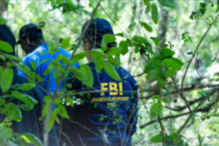 Remains of three young children had been hidden for 'a few years'