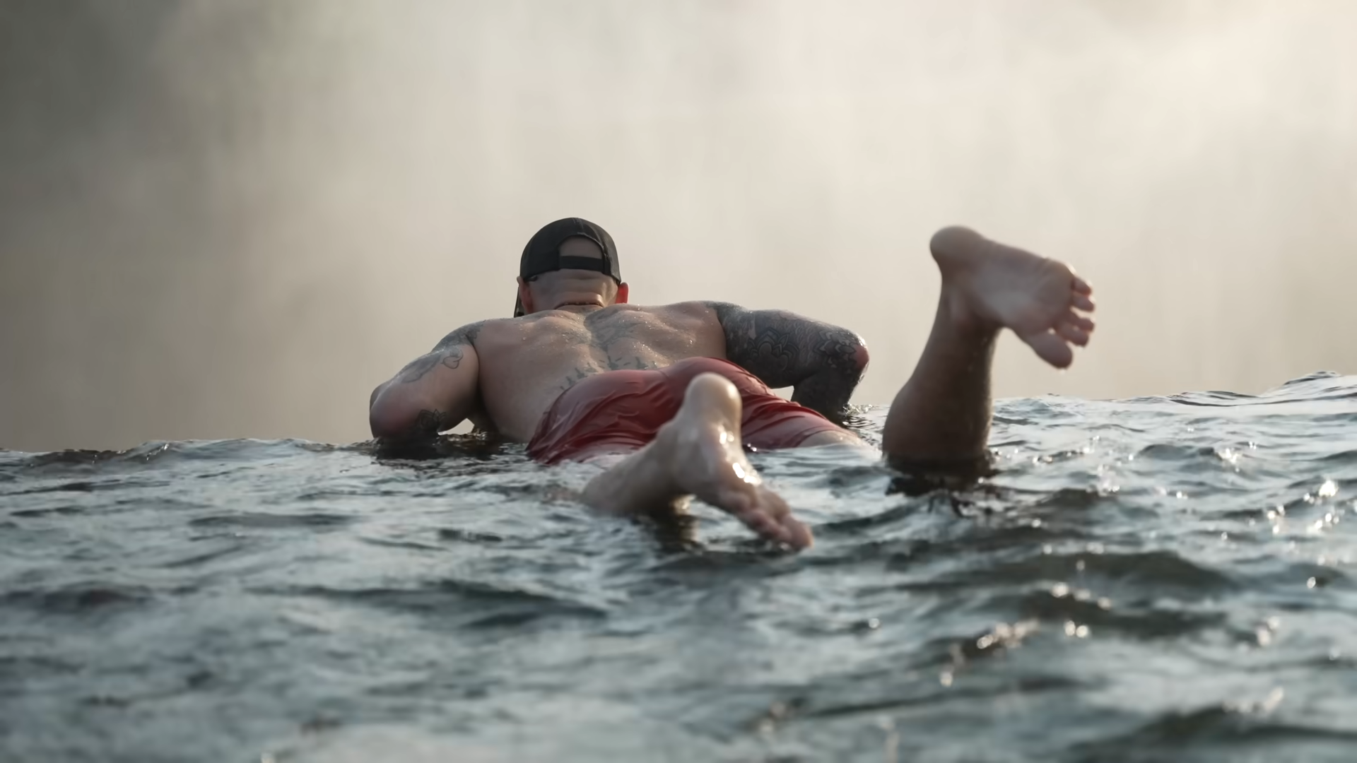 They swam right to the edge – then saw what was below them