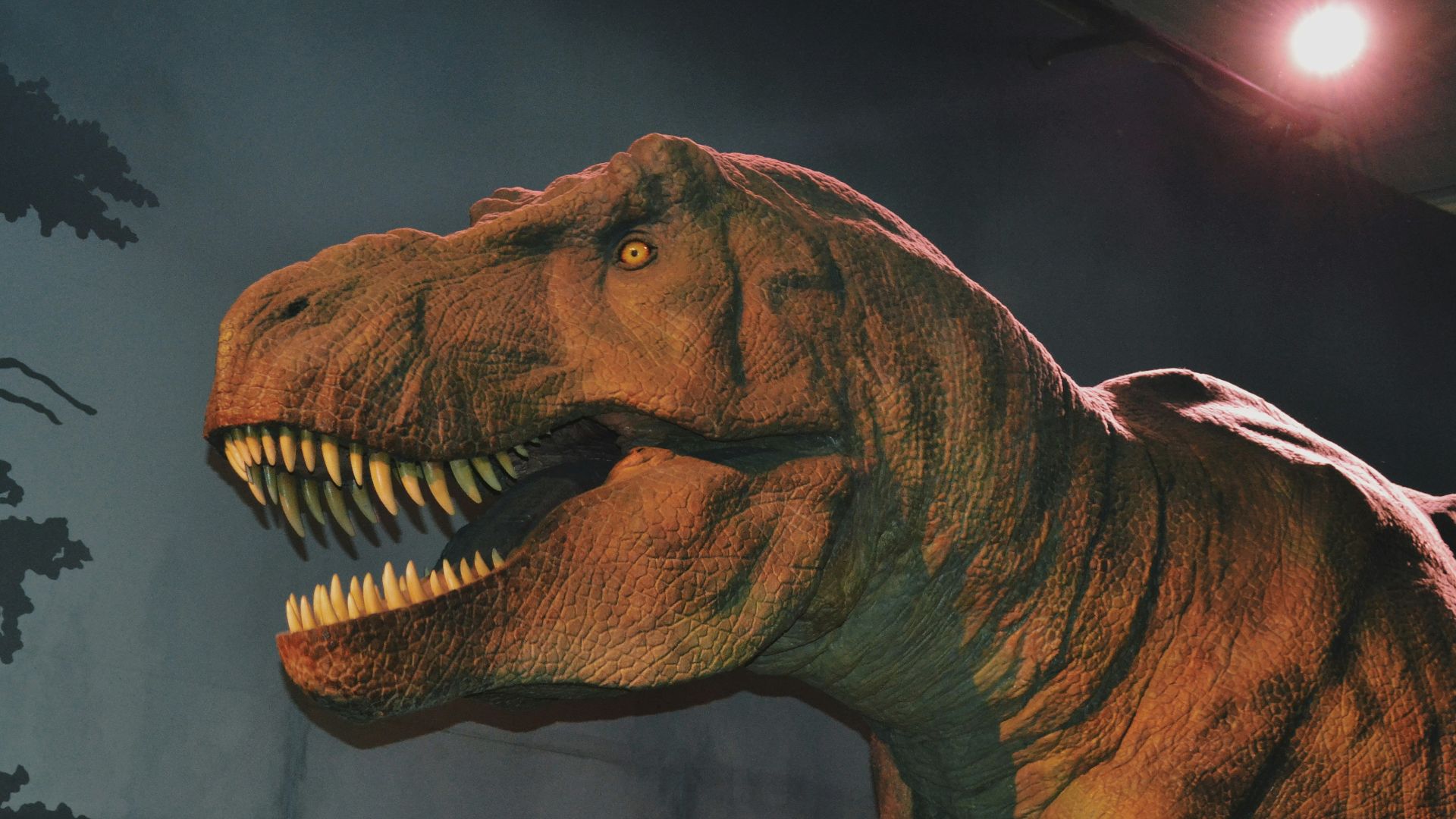20 recent discoveries about prehistoric creatures