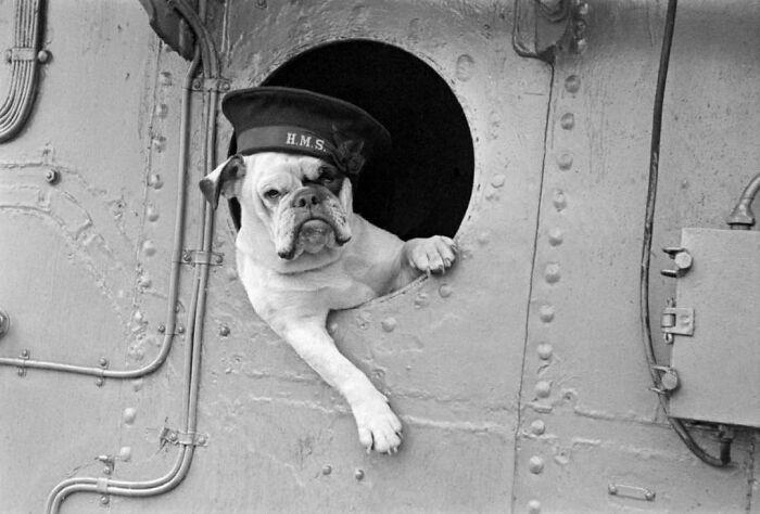 42 fascinating pics that will provide you with your daily dose of history