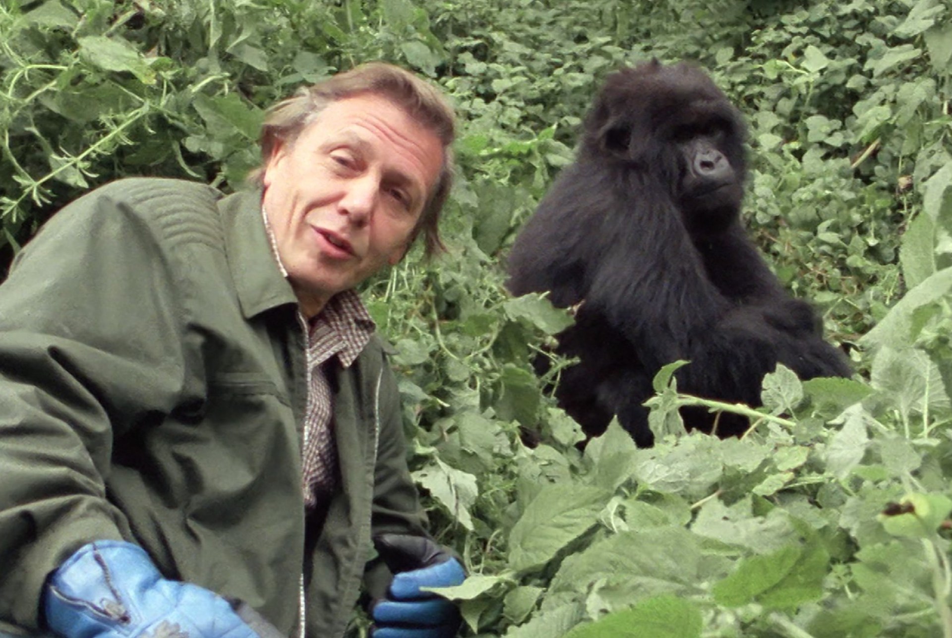 Netflix quietly drops 'unmissable' David Attenborough documentary A ...