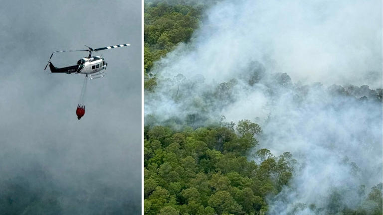 Wildfire Live Blog: Firefighters work to contain Cow Creek Fire in Levy ...