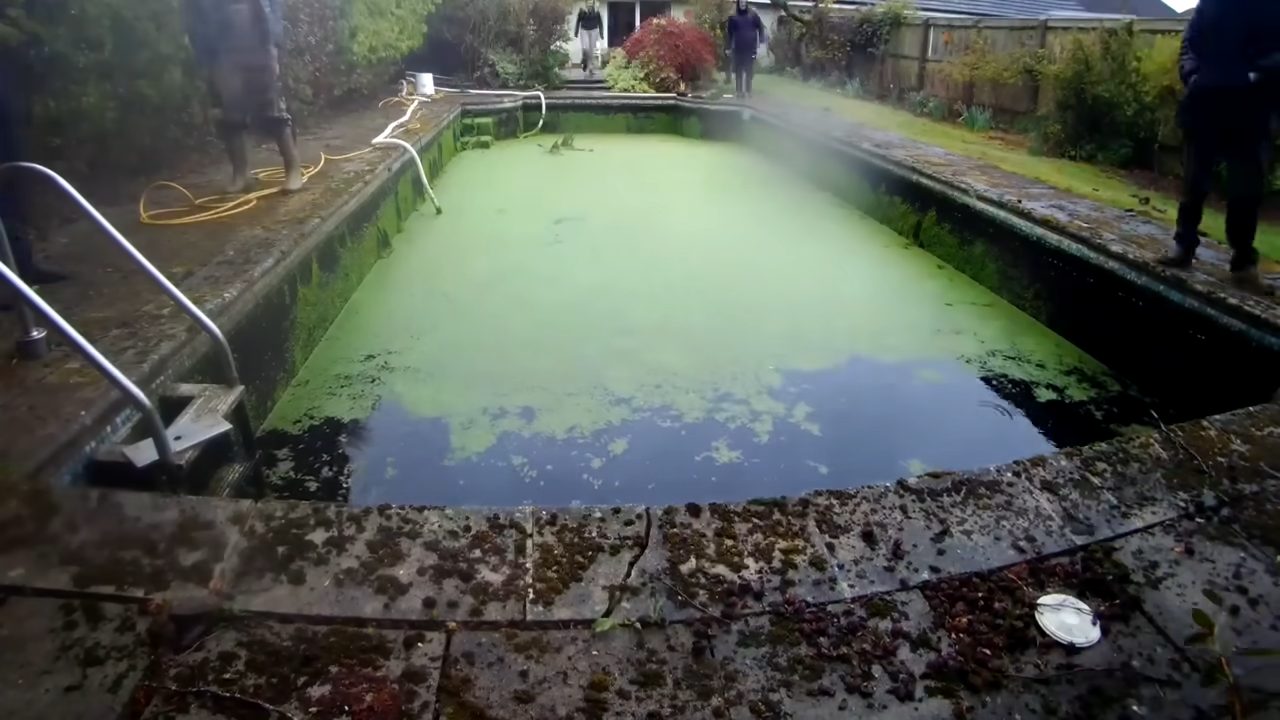 Something was lurking in this pool before the cleaning