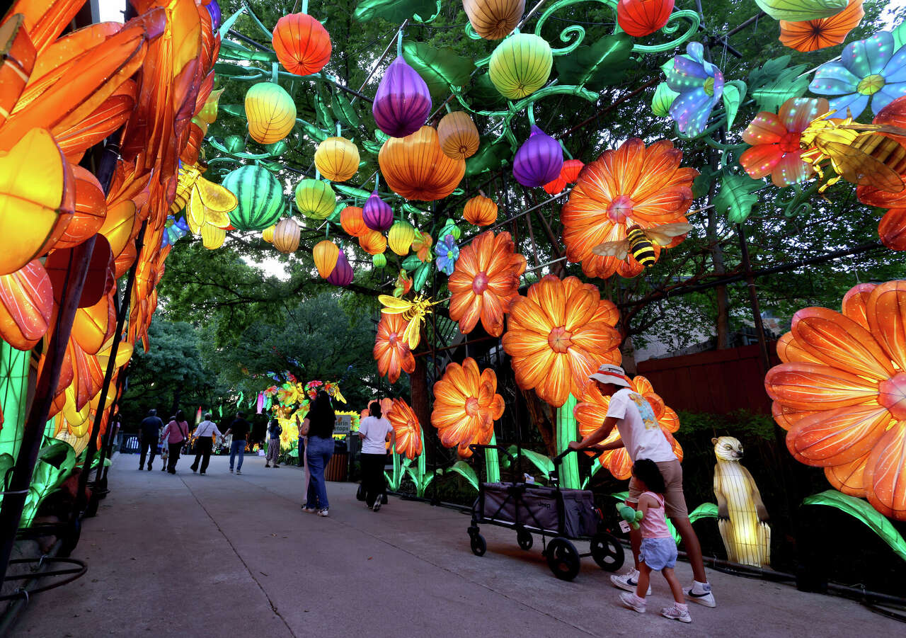 Illuminature lights up night at Dallas Zoo