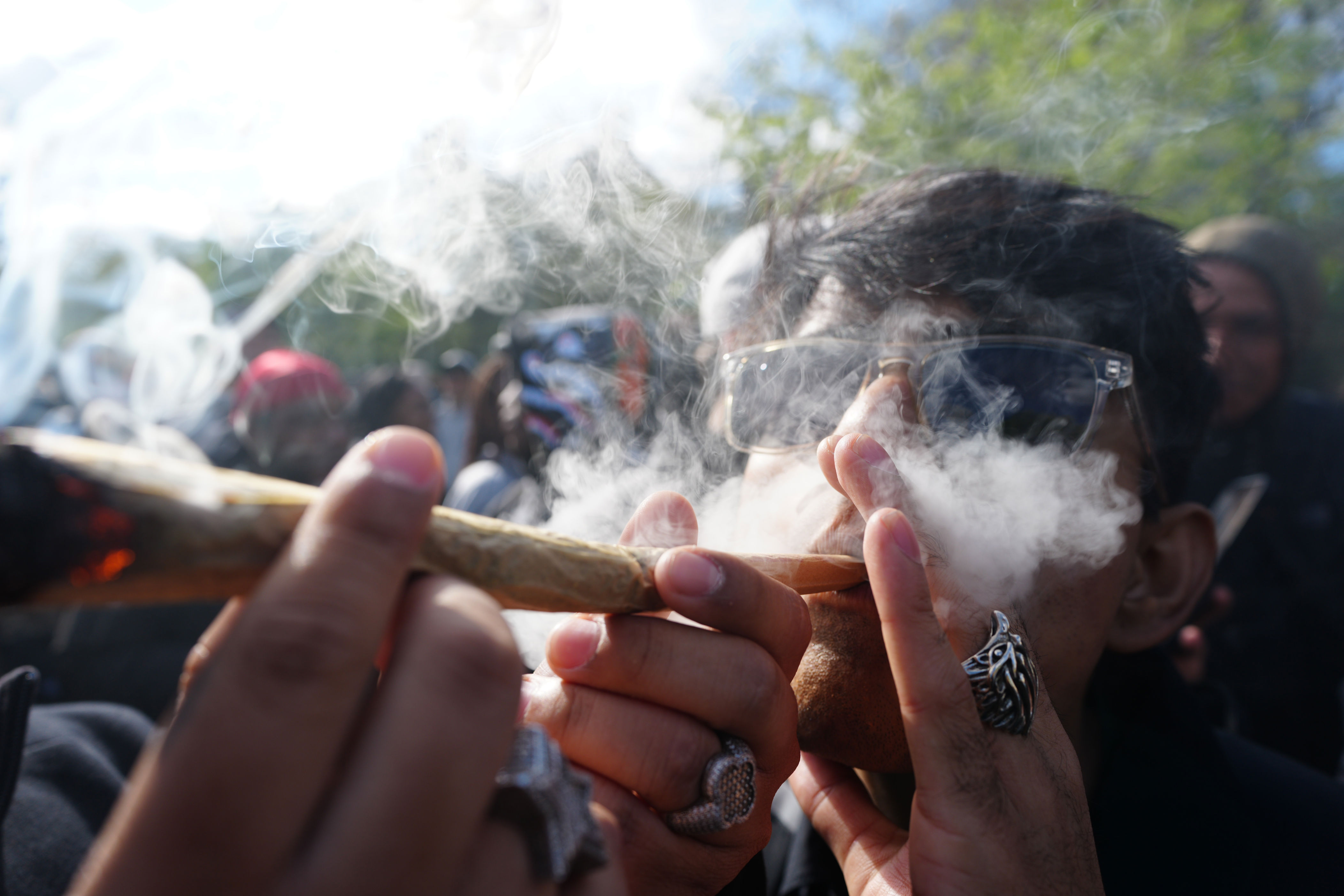 Trump’s DOJ downgrades marijuana — removing it from same drug class as ...
