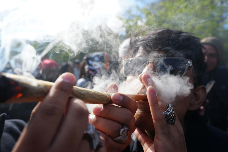 Trump DOJ downgrades marijuana drug classification — so it’s more like ...