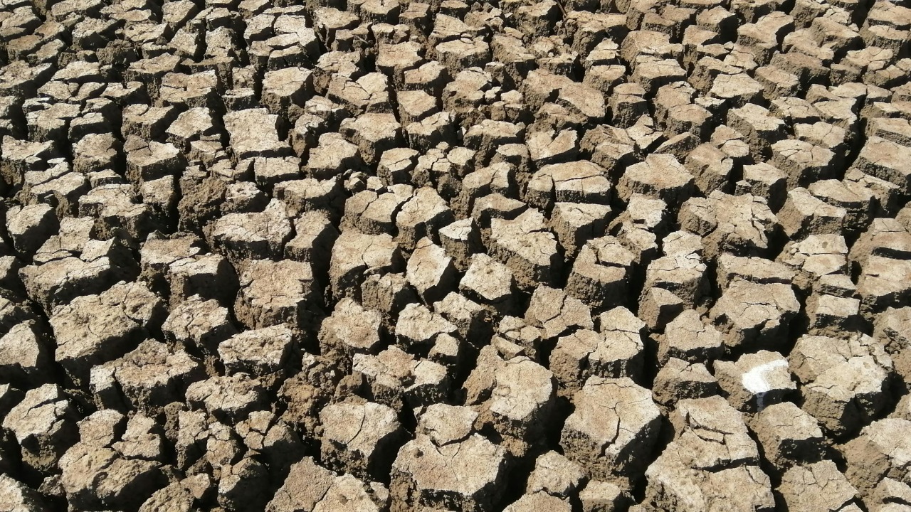 April rains ease parts of Texas drought, but impacts vary by region and ...