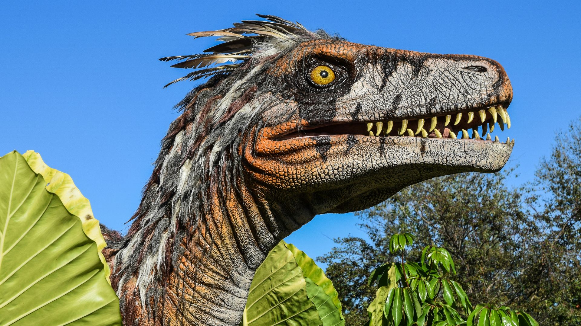 20 recent discoveries about prehistoric creatures