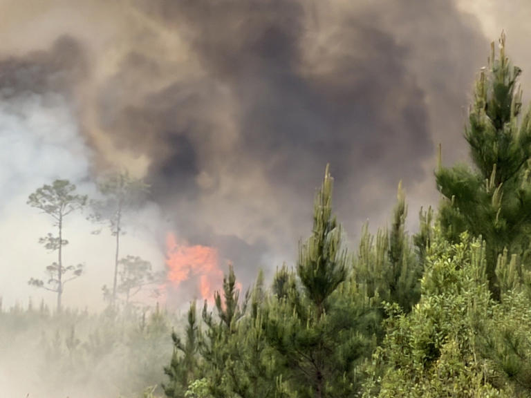Georgia wildfire doubles in size, mandatory evacuations possible