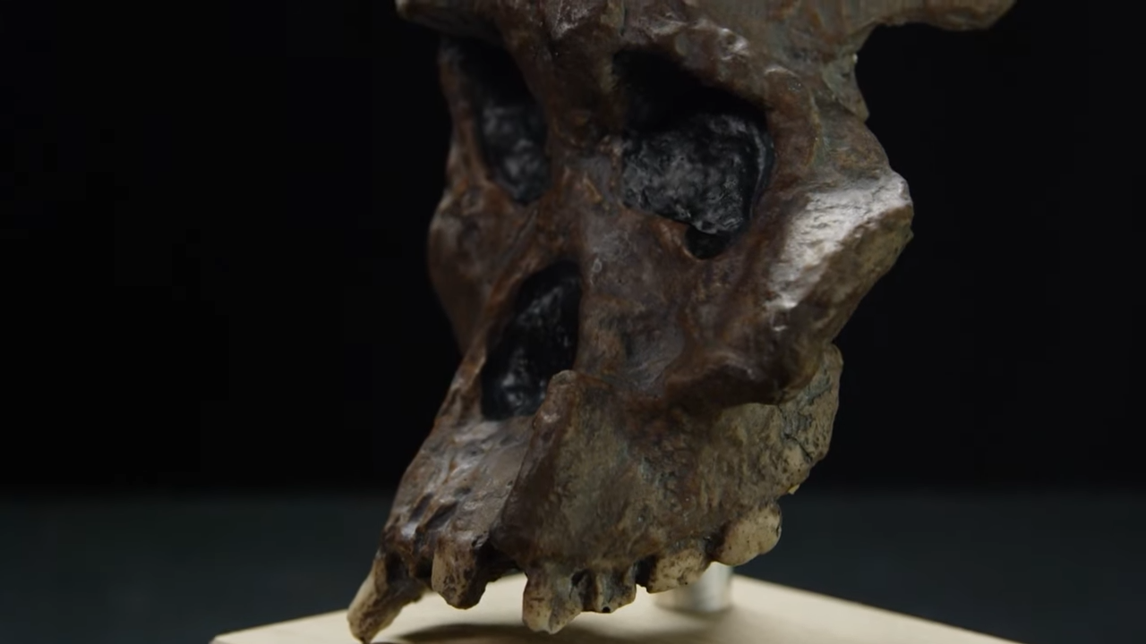 The 'Hobbit' was real and it raises questions about human evolution