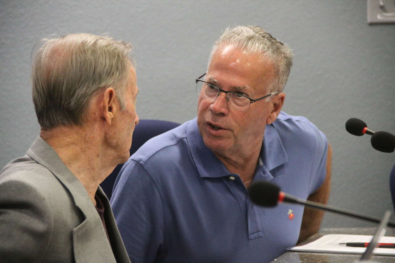 Scott Tweedy named mayor pro tem by Wood River City Council