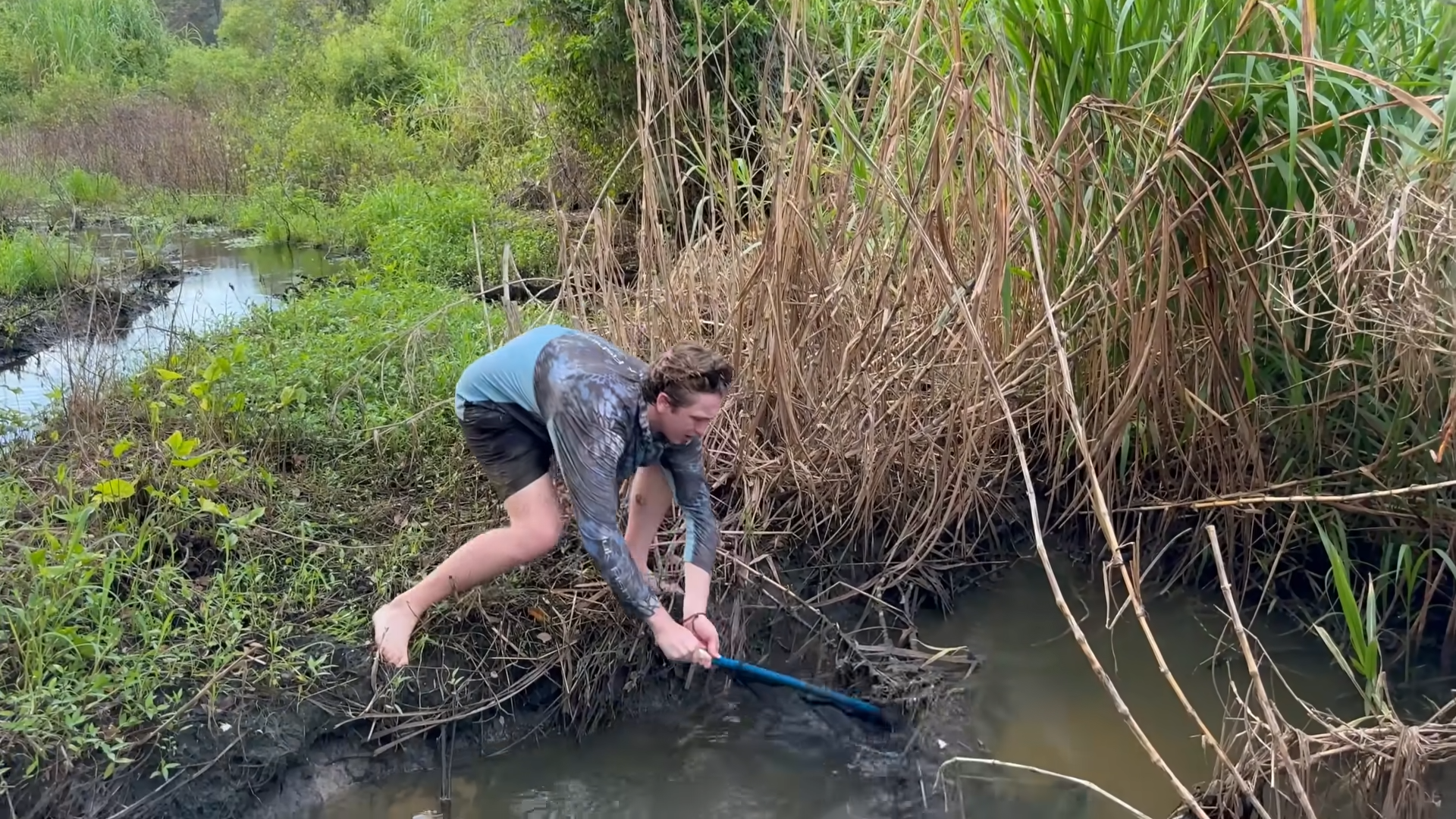 They thought it was nothing until fish started swarming nonstop, caught ...