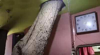 Unique tree house built around 125-year-old peepal tree in Jabalpur