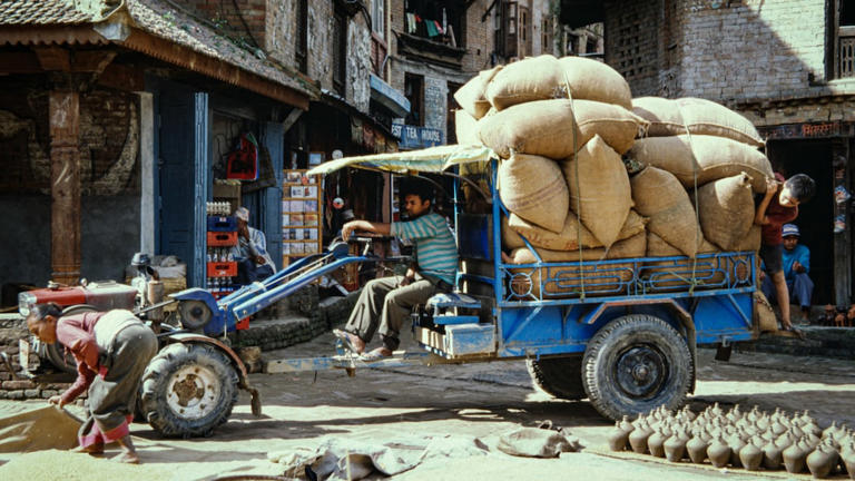 Bernstein warns PM Modi in open letter, flags AI-linked job losses ...