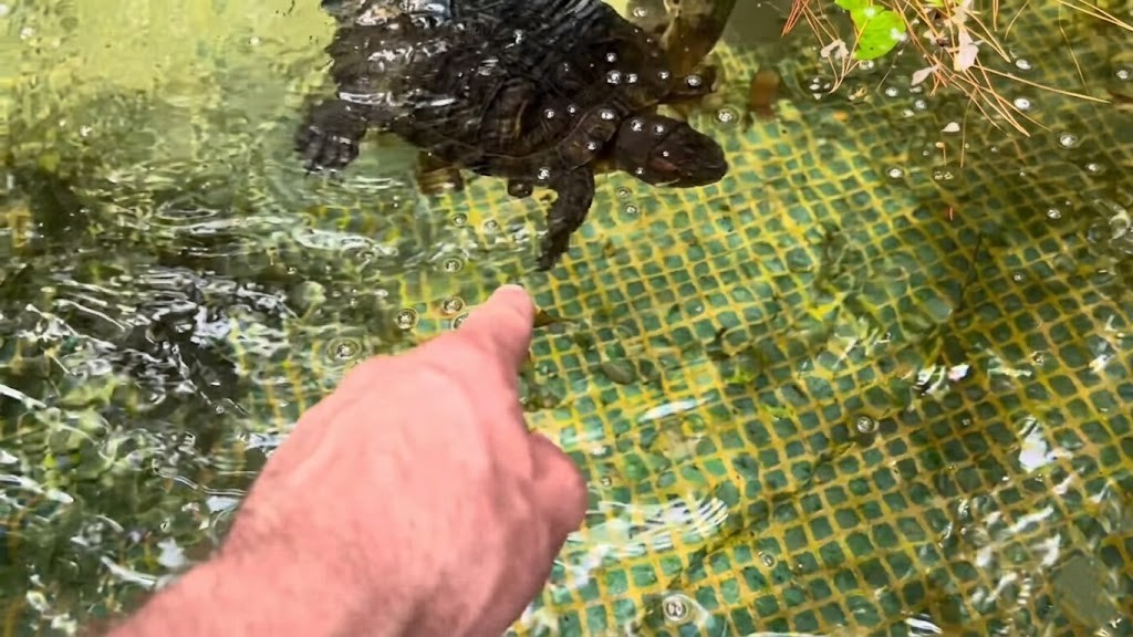 They thought it was empty until fish started attacking everywhere ...