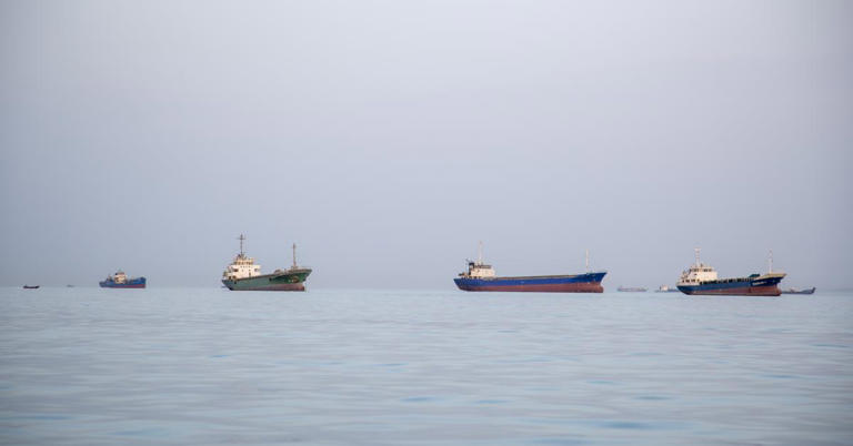German shipping firm not ready for ships to move through Strait of Hormuz