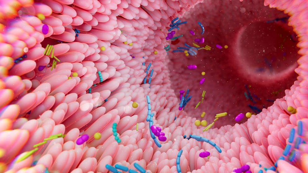 Parkinson’s begins long before tremors—in the gut