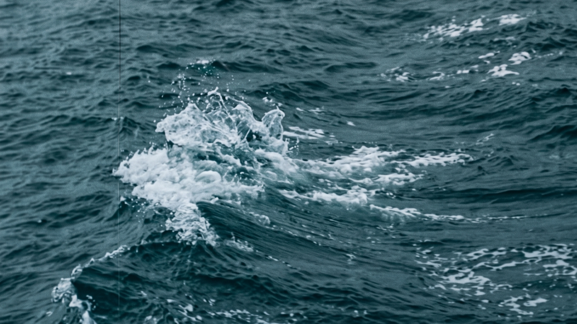 Watch this ship get caught in monster waves - then it is gone