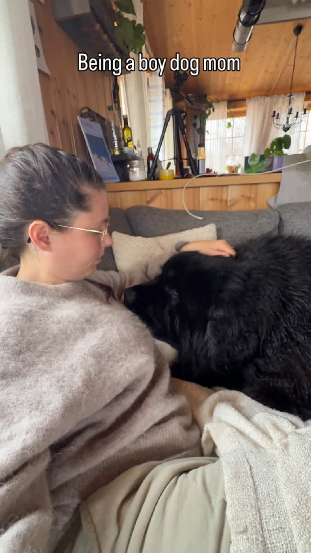 Pet owner secrets: The funny truth about boy dogs