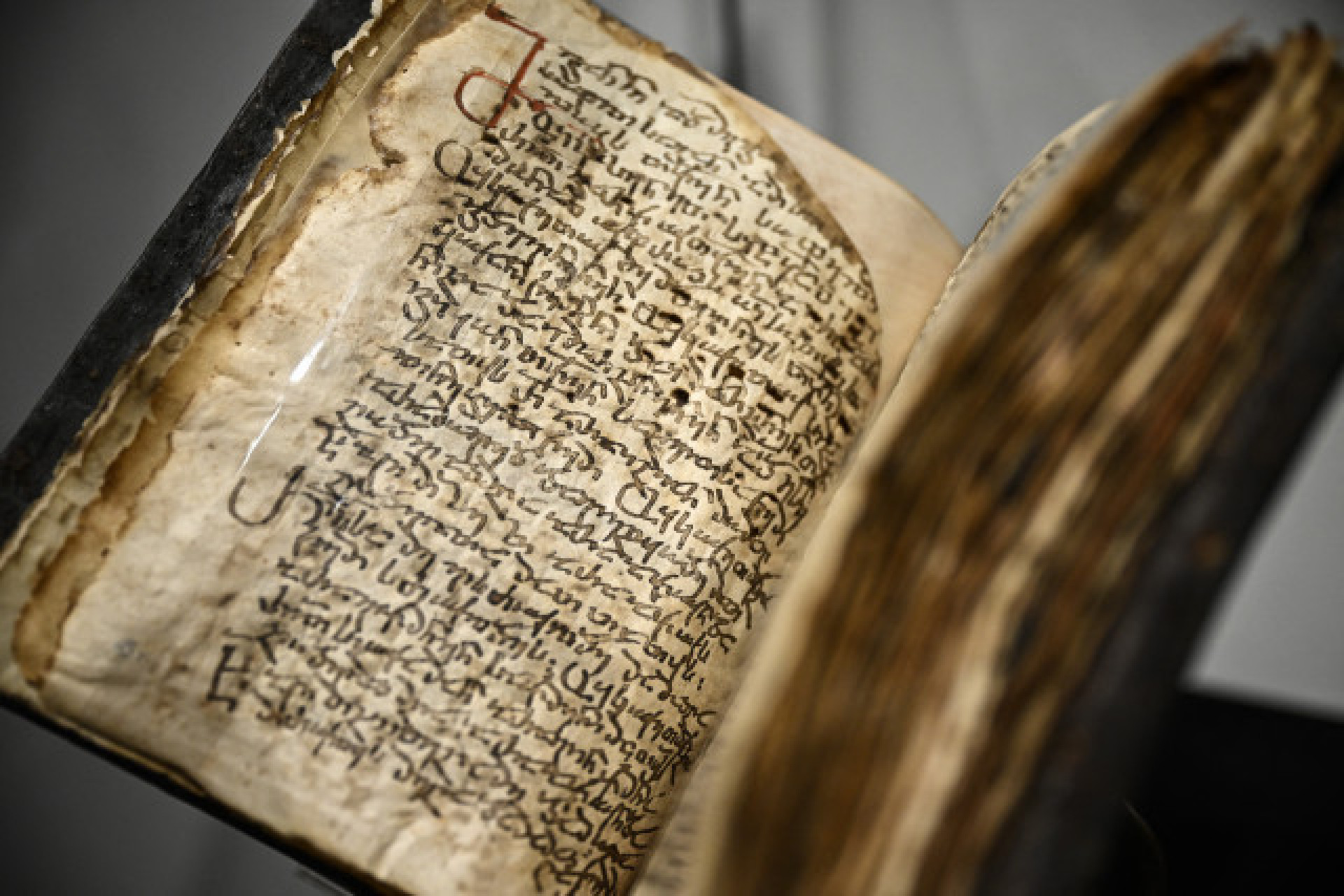 Gospels, codexes, and more: These are the oldest books in the world